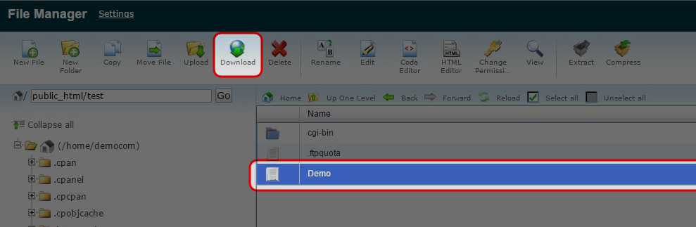 Upload and download a file using File Manager | Dataplugs